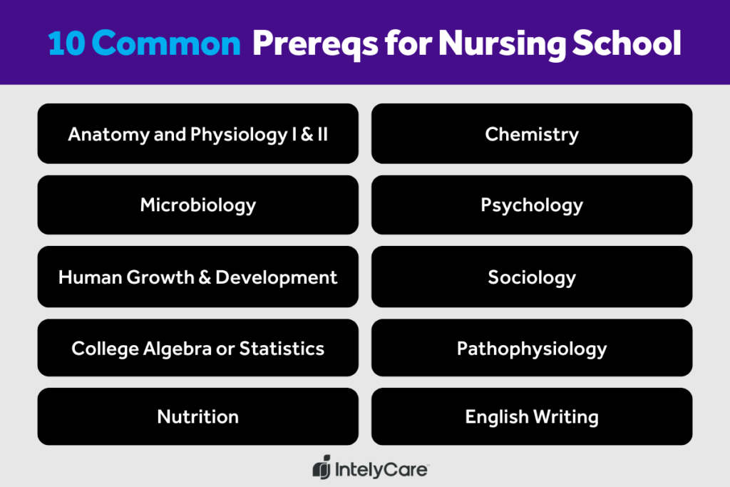 A Guide To Prereqs For Nursing School IntelyCare A Guide To Prereqs For Nursing School IntelyCare