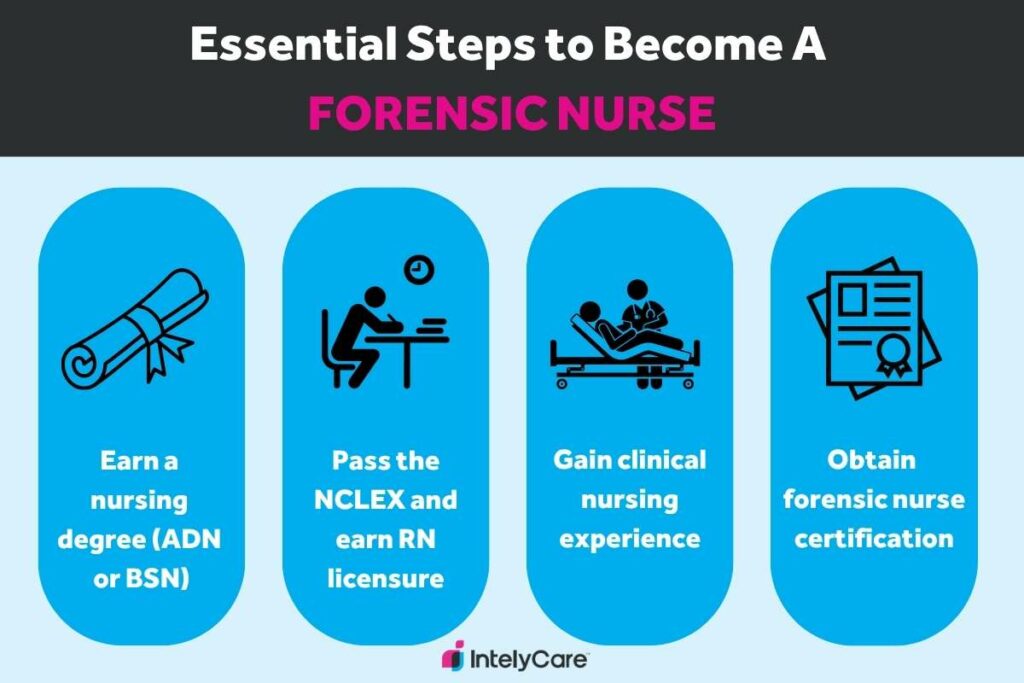 How to Become a Forensic Nurse | IntelyCare