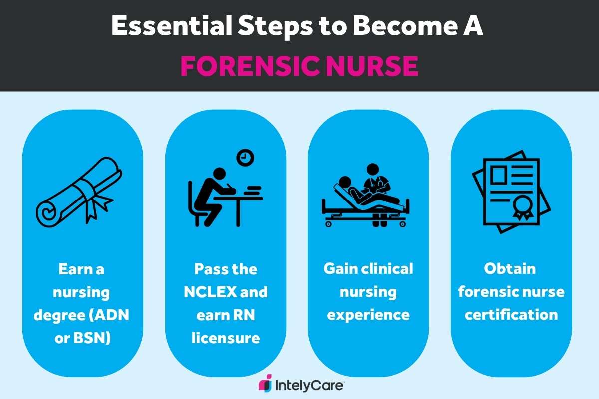 How to Become a Forensic Nurse | IntelyCare